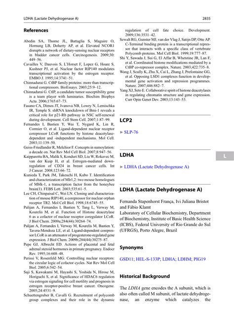 PDF LDHA Lactate Dehydrogenase A