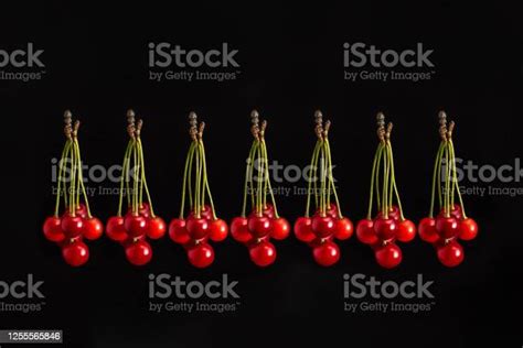 텍스트 복사 공간이있는 검은 배경에 고립 된 빨간색 빛나는 잘 익은 체리 클러스터의 클로즈업 샷 검정색 배경에 대한 스톡 사진 및 기타 이미지 Istock