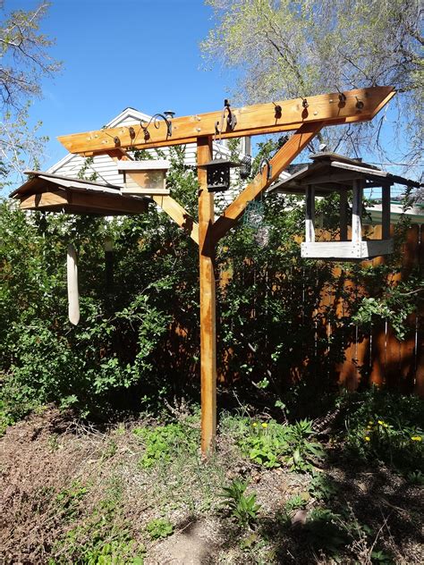 Bird Feeder Station Backyard Birds Sanctuary Bird Feeder Stands