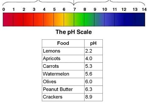 Ph Scale Interactive Worksheet Edform Worksheets Library