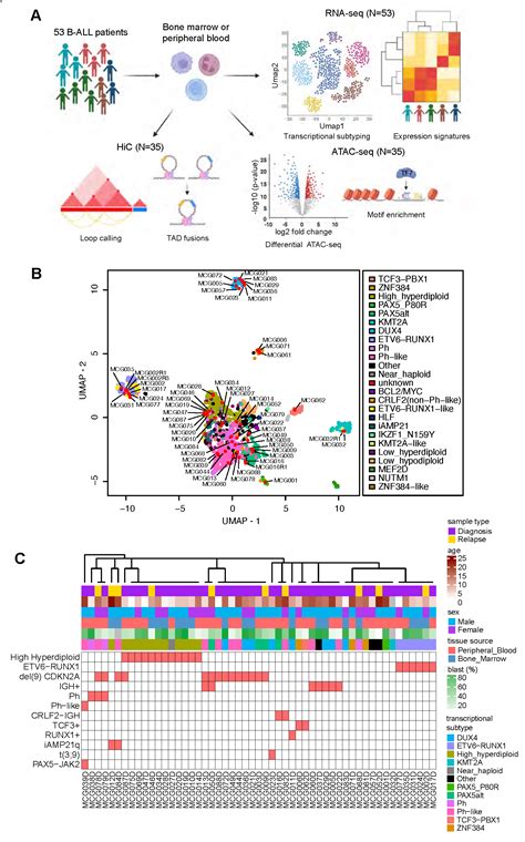 Publications Xu Lab At The Mcgovern Medical School