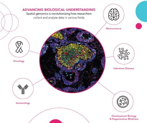 Ahmed Mokhtar On Linkedin Spatial Genomics Is Revolutionizing And Redefine Different Biology Sector