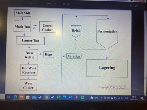 Lecture Flashcards Quizlet