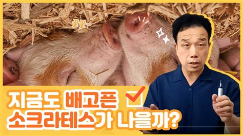 81 배부른 돼지 보다 배고픈 소크라테스 Youtube