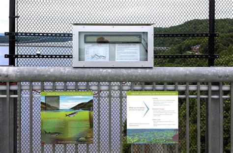 Stream Ecosystem Field Activity