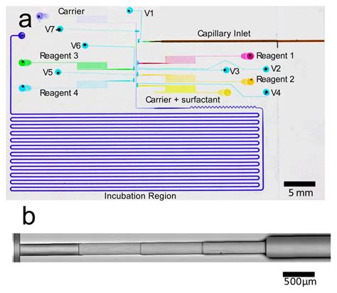 Microfluidic Platform For On Demand Generation Of Spatially Indexed Combinatorial Droplets