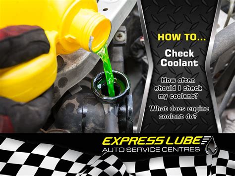 How To Check Coolant Express Lube Auto Service