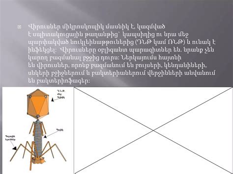 կյանքի ոչ բջջային ձևեր՝ վիրուսներ Ppt