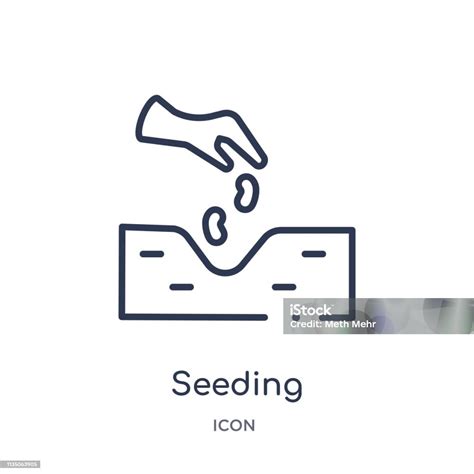 자연 개요 컬렉션에서 시드 아이콘입니다 흰색 배경에 고립 된 얇은 라인 시드 아이콘 물 주기에 대한 스톡 벡터 아트 및 기타