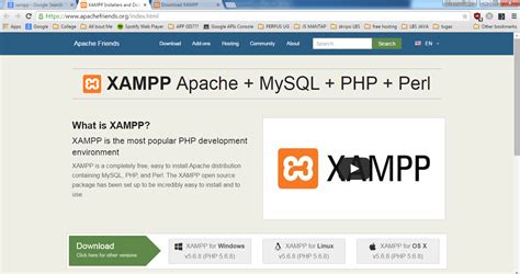 Princess Gladys Ingrid Membuat Tabel Relasi Database Mysql Dengan Cmd Dan Xampp