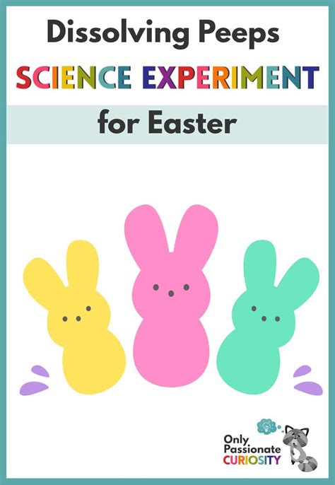 Dissolving Peeps Easter Science Experiment Artofit