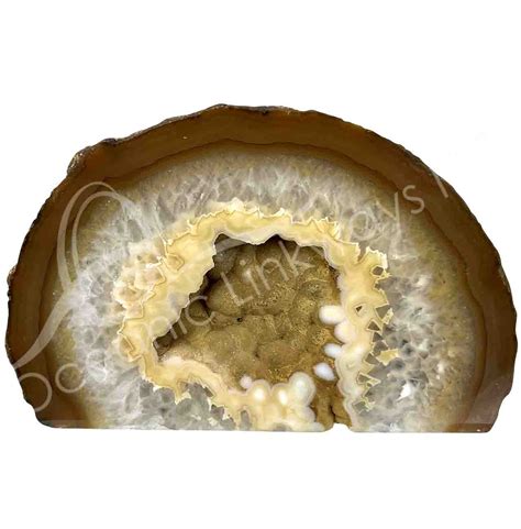 Natural Agate Cut Base Geode Oceanic Linkways Inc In Nj