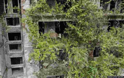 მოჩვენებად ქცეული ქალაქი ოკუპირებულ აფხაზეთში [ფოტო]