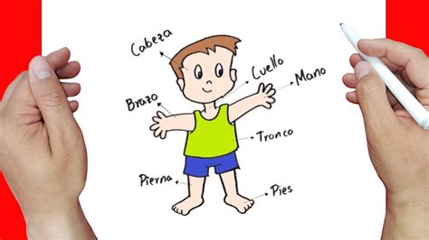 Infantil Cuerpo Humano Dibujo Bazaarstory