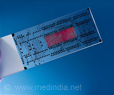 Measure Your Stress Hormone Levels Instantly By Microchip Sensor