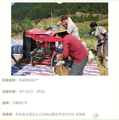 大溪边红高粱入选浙江农业之最纪录 开化新闻网