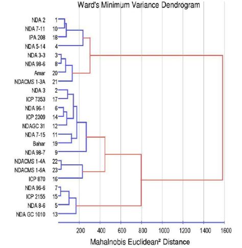 dendrogram of 23 accessions based on morphological data using euclidean