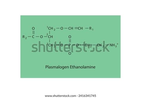 Schematic Molecular Structure Sphingomyelin Molecule White Stock Vector Royalty Free