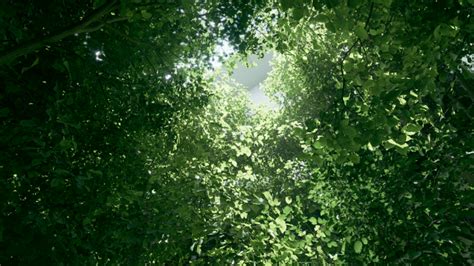 Unreal Engine 51 Release Notes Unreal Engine 51 Documentation Epic Developer Community