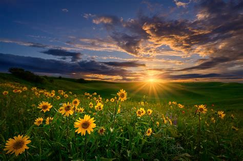 Sunrise Scenery Wallpaper Hd