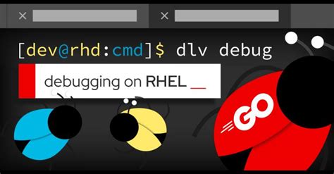Alain Airom On Linkedin How To Add Debug Support For Go Stripped
