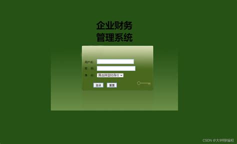计算机毕业设计系列基于javaweb的企业财务管理系统 Csdn博客