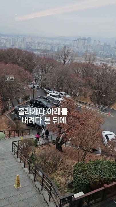 아늑한 숲속 언덕에 올라 피자 한판 때리는 곳 Youtube