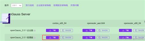 Opengauss使用说明the Maximum Number Of Semmni Is Not Correct Csdn博客