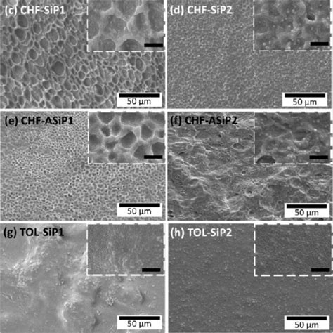 SEM Images Of NR And NR Based Coatings With The SiPs Probes Mg ML Download Scientific