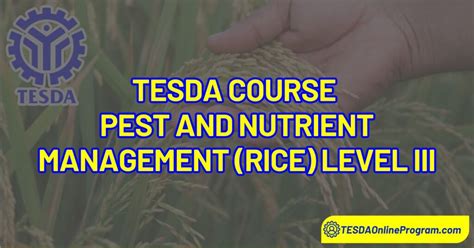Tesda Pest And Nutrient Management Rice Level Iii Course Tesda Online Program