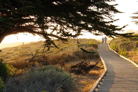 Five Simple Hikes Worth Taking In Cambria • Visit Cambria Ca