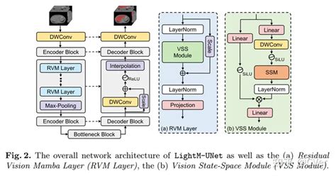 Lightm Unet：mamba助力轻量级unet进行医学图像分割 人工智能 Hellozhxy Damo开发者矩阵