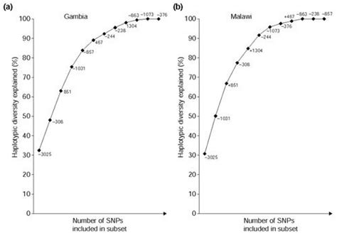Results Of The Entropy Maximization Method Download Scientific Diagram