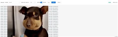 vue中websocket结合xterm js实现实时日志监控 vue实时显示日志 csdn博客