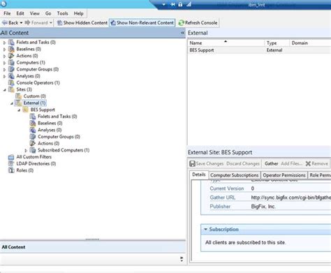 Bigfix Management Console Not Showing Platform Bigfix Forum