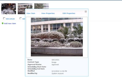 Exploring Asset Library In Sharepoint 2010 Online And On Premise Razi Bin Rais Blog