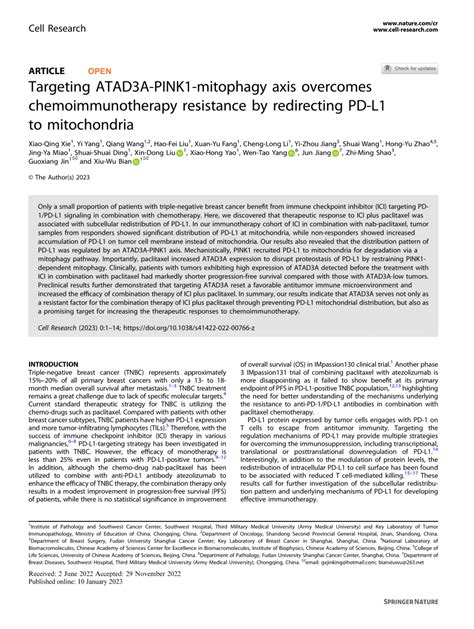 Pdf Targeting Atad3a Pink1 Mitophagy Axis Overcomes Chemoimmunotherapy Resistance By