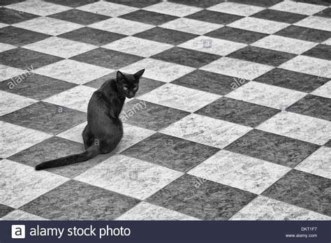 Anyone Miss Descriptive Notation Chess Forums Page 7