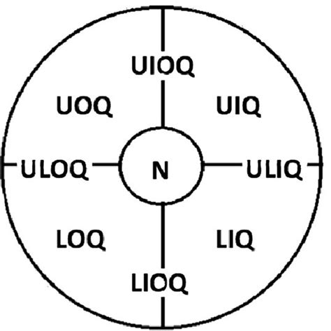 Schematic Of The Right Breast Showing The Segments Used To Designate Download Scientific