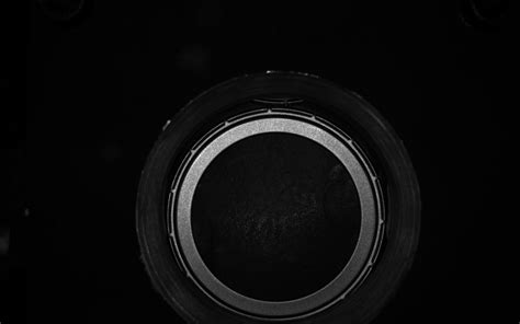 Coraltpu Object Detection Dataset By College