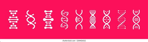 รูป Dna สารพันประโยชน์ เส้นทางสู่ความเข้าใจลึกลงในการกำหนดเส้นทางและการรักษาของโรค