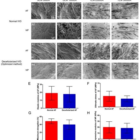 Optimized Decellularization Method Preserved Ecm Structure And Download Scientific Diagram