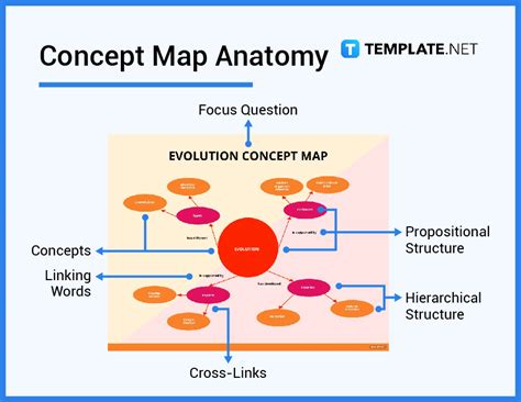 Concept Map What Is A Concept Map Definition Types Uses