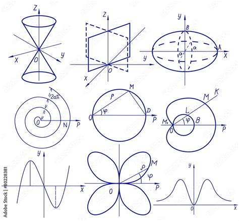 Collection Of Vector Mathematical Function Graph Stock Vector Adobe Stock