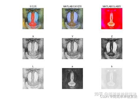 基于fpga的图像rgb转cie Lab实现包含testbench和matlab辅助验证程序 知乎