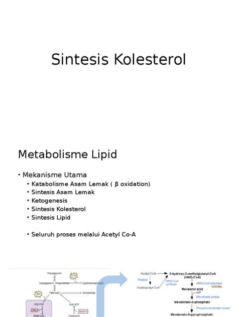 Metabolisme Kolesterol Dan Perannya Dalam Pembentukan Atherosklerosis Pdf