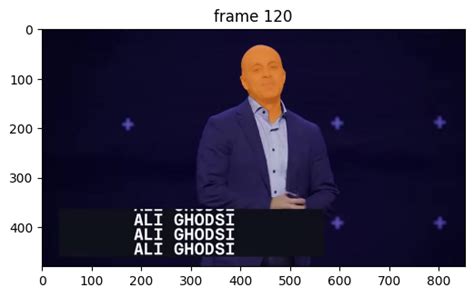 Sam2 On Databricks — Databricks Devrel Example Notebooks