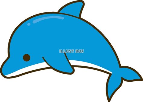 無料イラスト イルカ Bicycle Helmet Helmet Bicycle