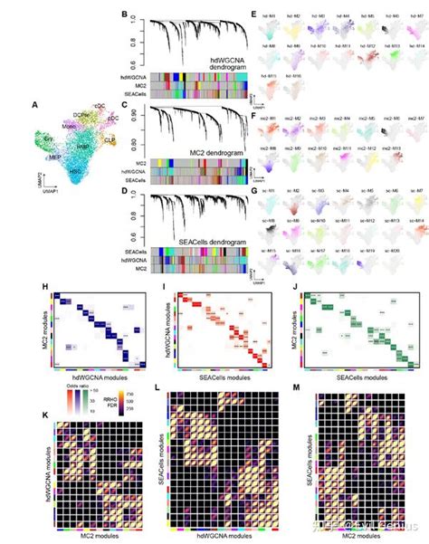 针对高维数据（10x单细胞空间）的共表达网络分析（hdwgcna） 知乎