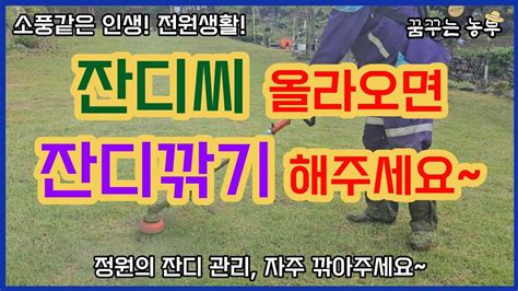 꿈꾸는 농부 잔디씨 자라면 잔디 깎기 해주세요 잔디관리 잔디씨 깎기 예초기로 잔디 깎기 전원생활 꿈꾸는 정원 Youtube